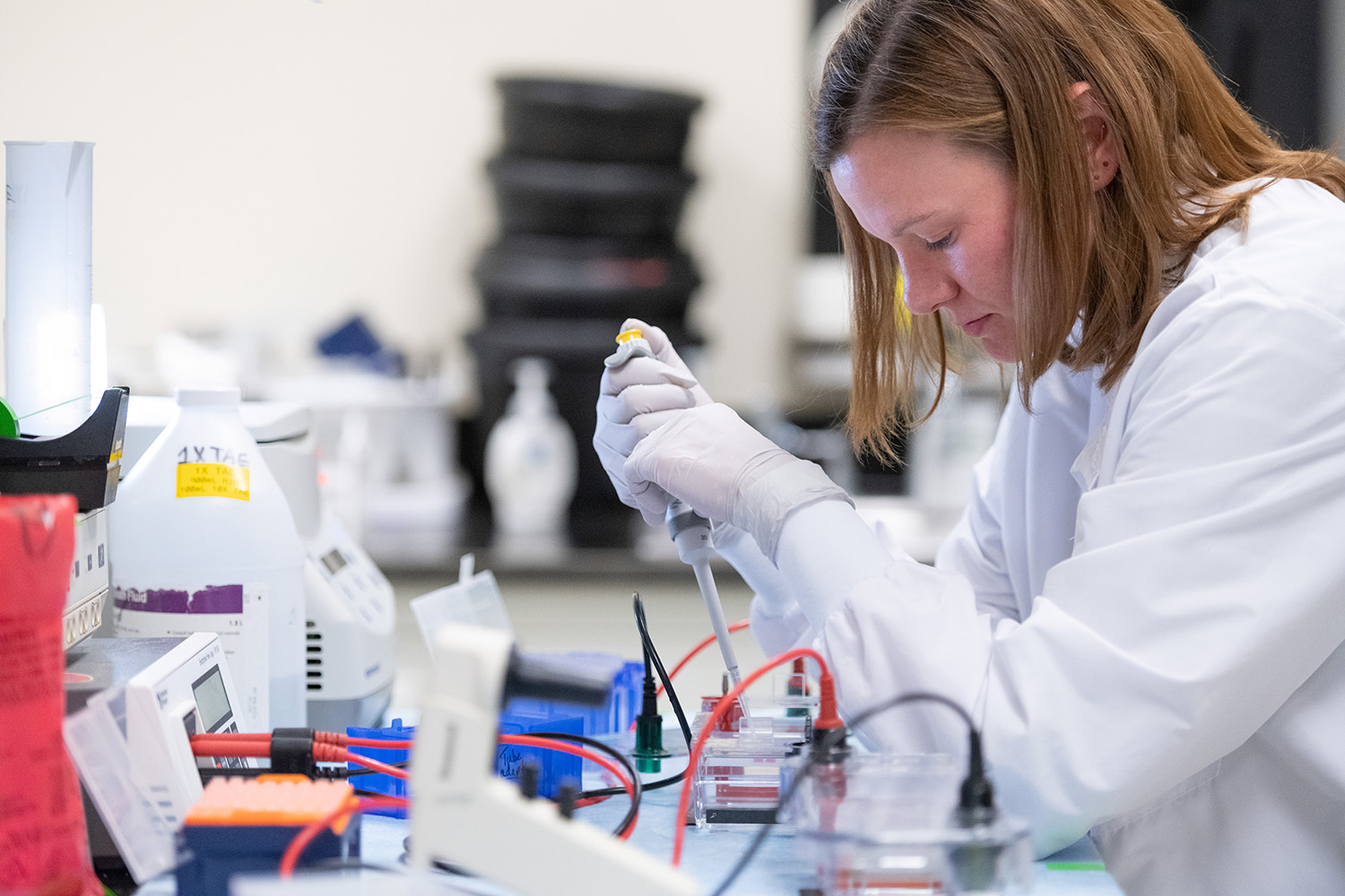 CSU vaccine research advances, groundwork begins to develop coronavirus ...