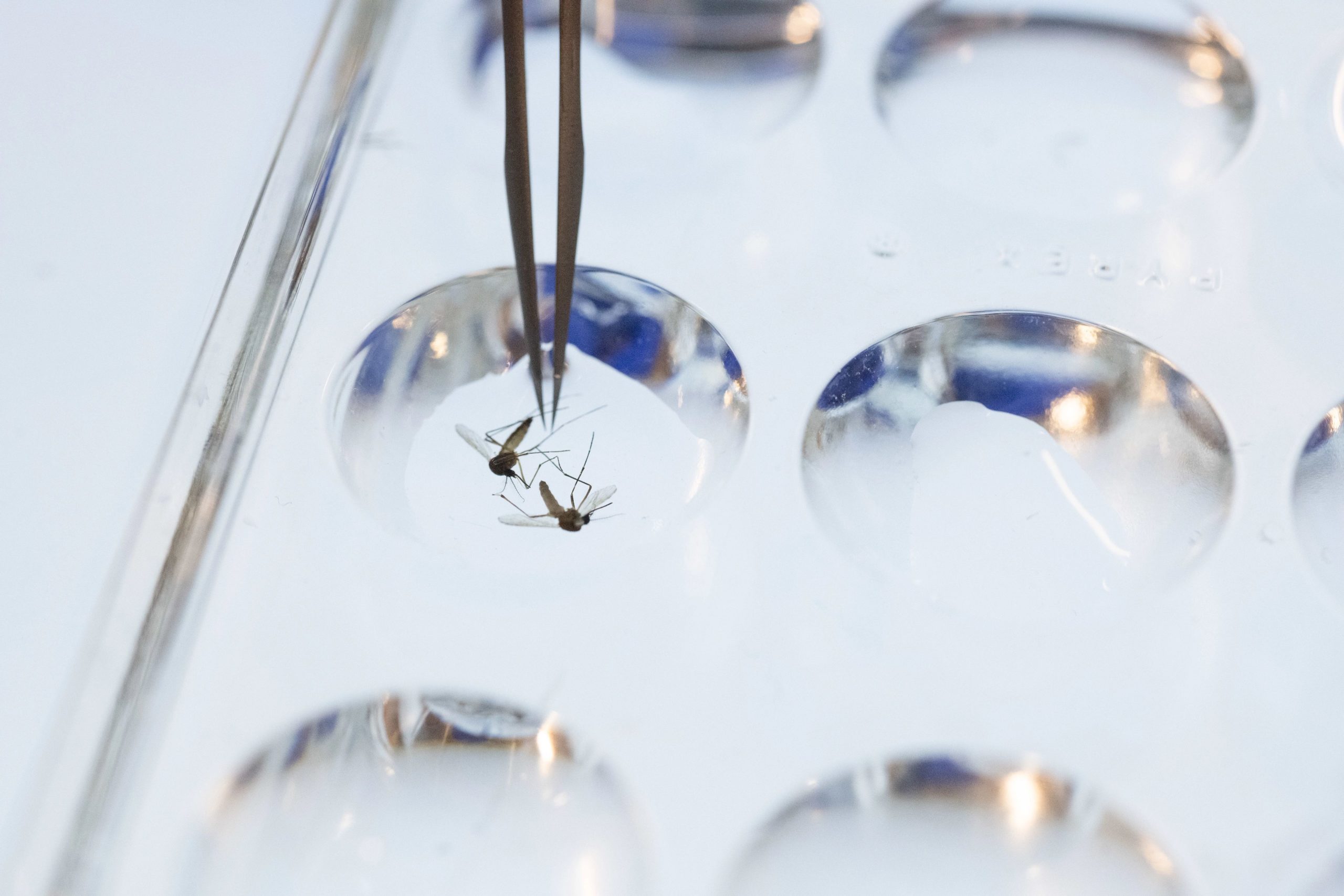 For these virus-hunting scientists, the ‘real gold’ is what’s in a ...