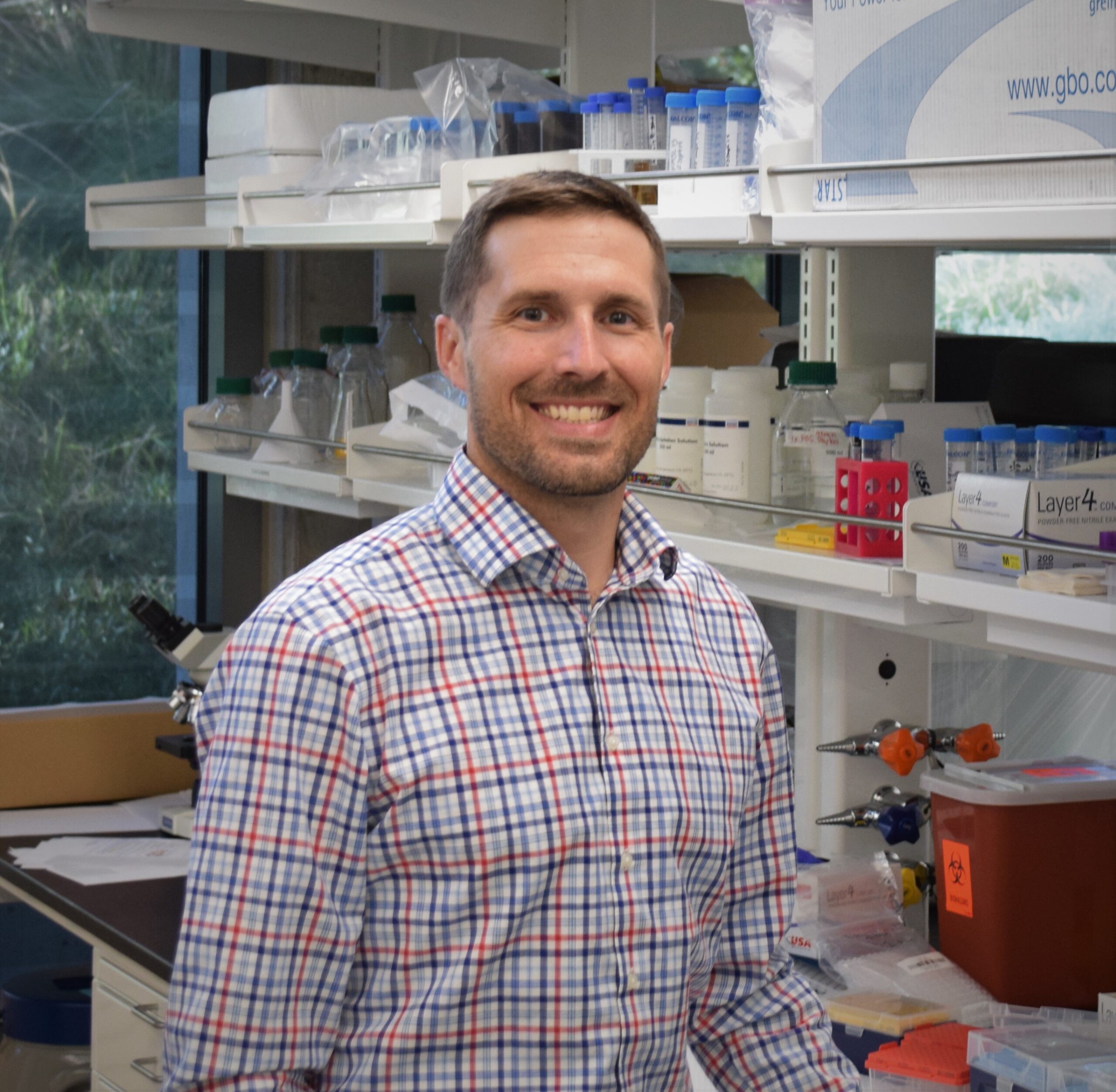 MIP faculty honored as 2026 Boettcher Investigators – Gries Lab