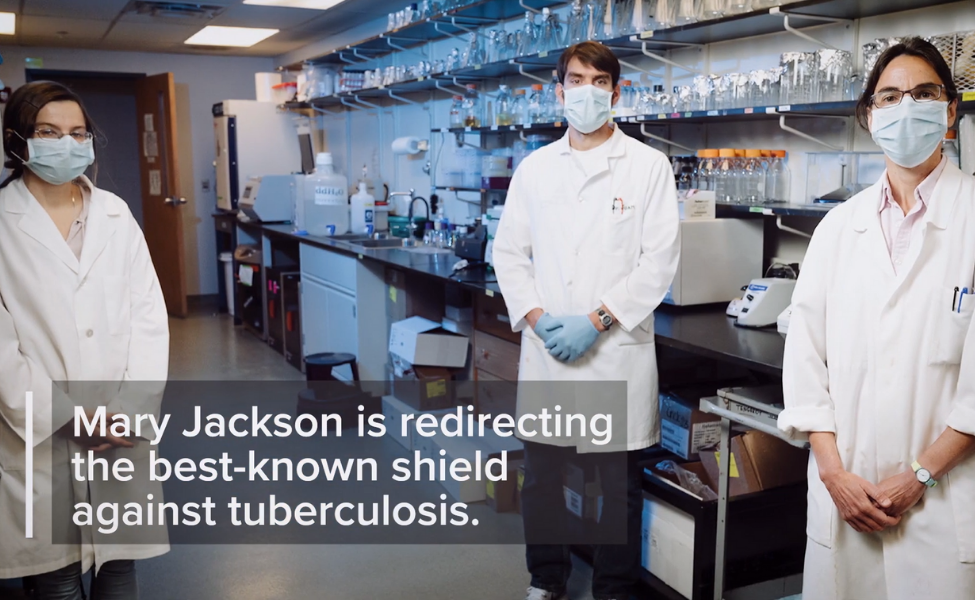 Female Researchers at Colorado State University are Taking a Lead to ...