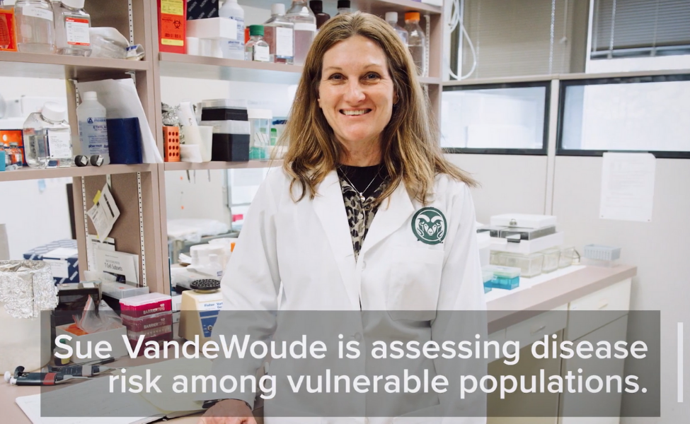 Female Researchers at Colorado State University are Taking a Lead to ...